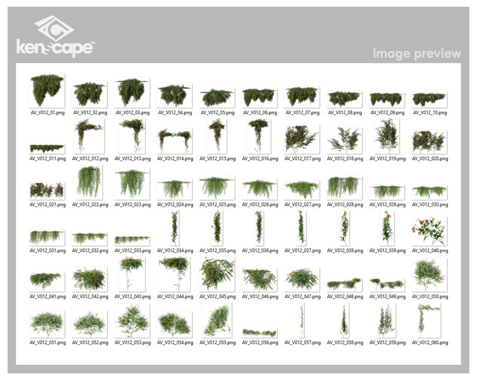 60 Vines & Creepers Photo Overlays for Photoshop, Vines, Ivy, Plants ...
