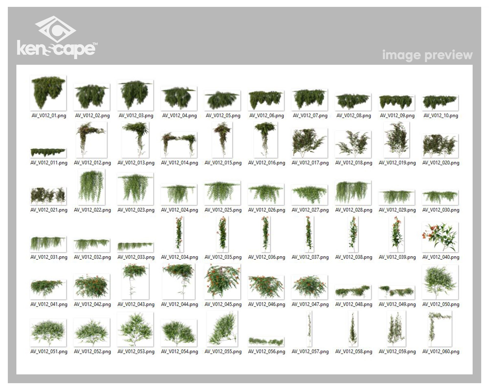 60 Vines & Creepers Photo Overlays for Photoshop, Vines, Ivy, Plants ...
