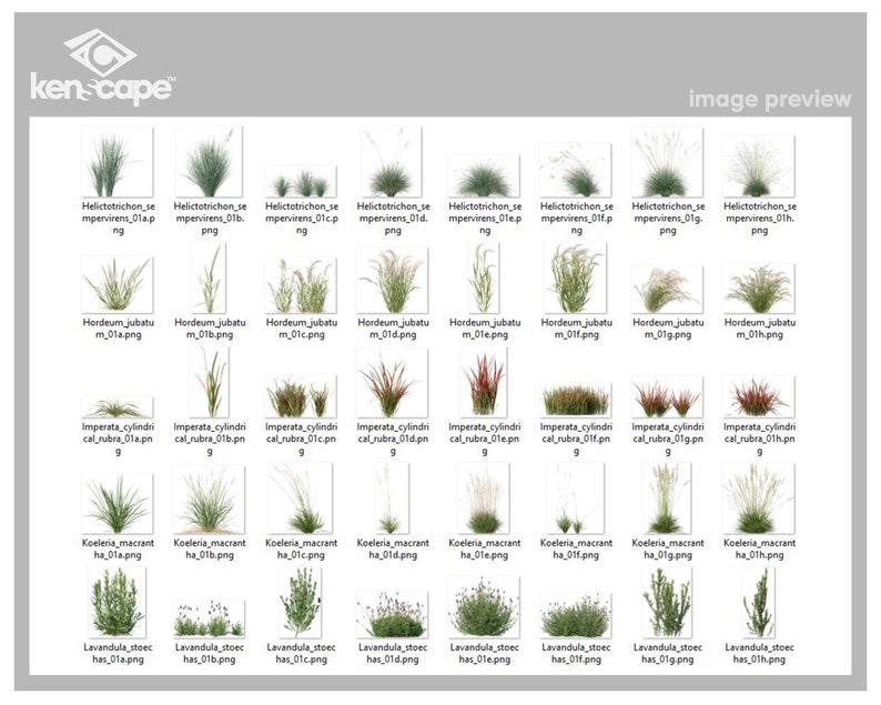 80 Grass Photo Overlays for Photoshop, Grass, Landscape, Plants ...