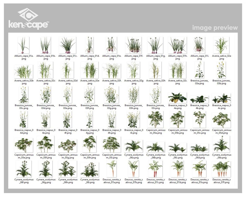 60 Farm Plants Photo Overlays for Photoshop, Vegetables, Plants, Food ...