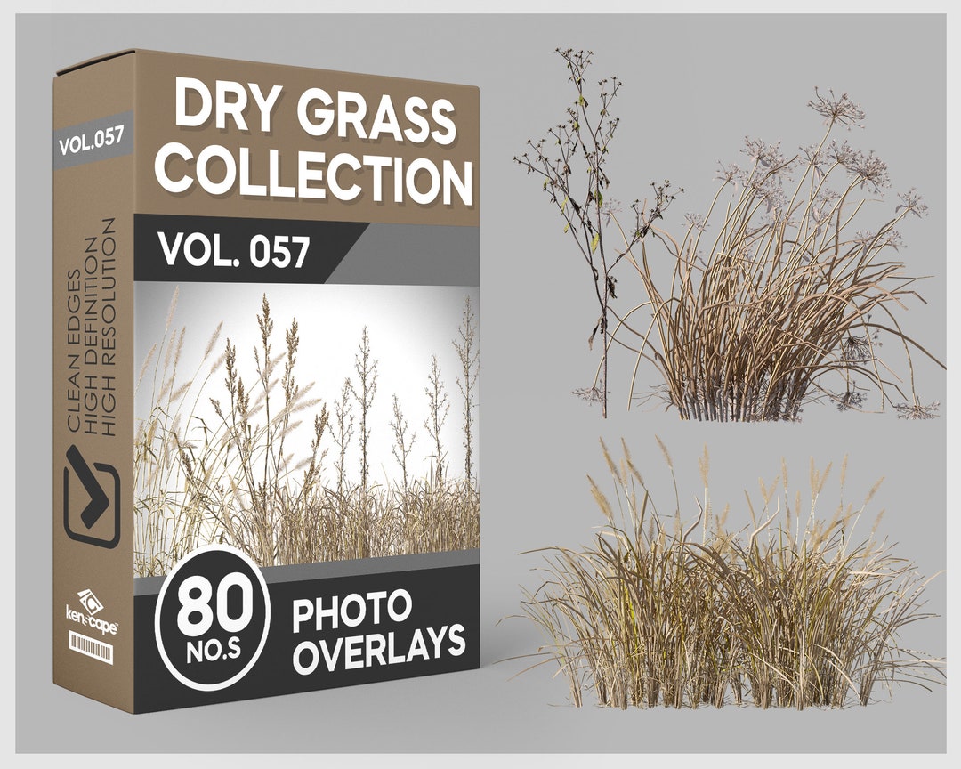 80 Dry Grass Photo Overlays For Photoshop Grass Landscape Dead Grass Cutouts Scrapbooking