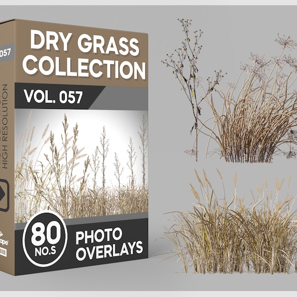 Dead Bushes - Etsy