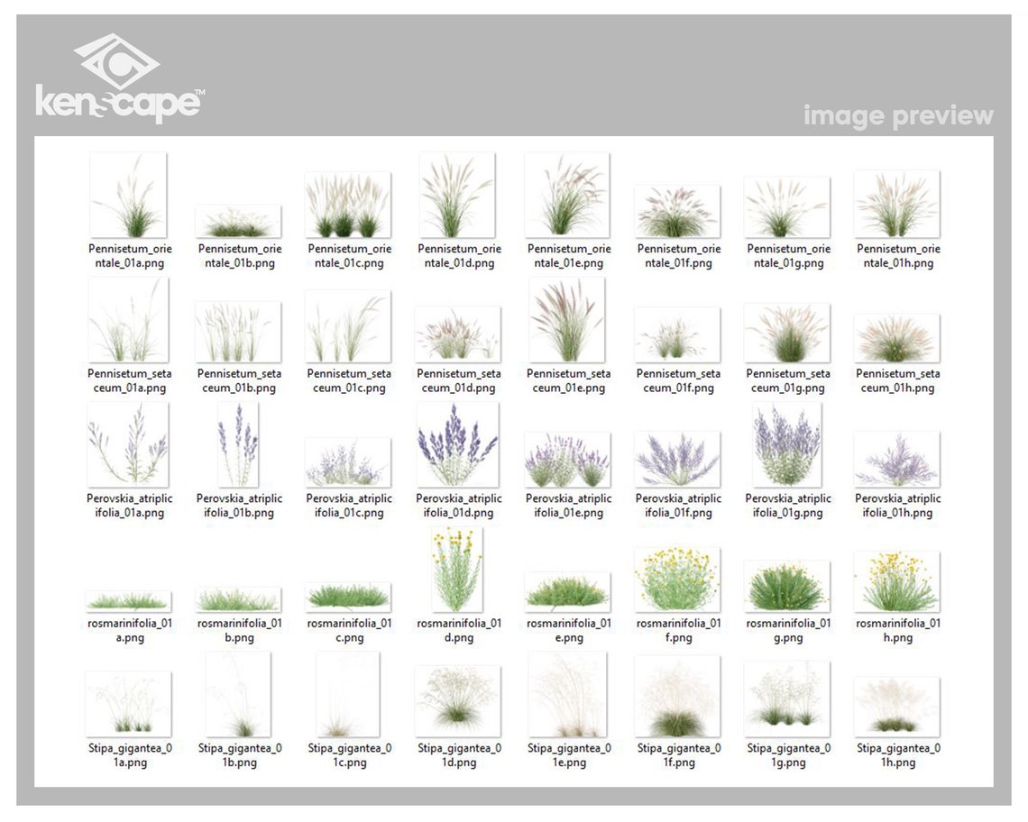 80 Grass Photo Overlays for Photoshop, Grass, Landscape, Plants ...