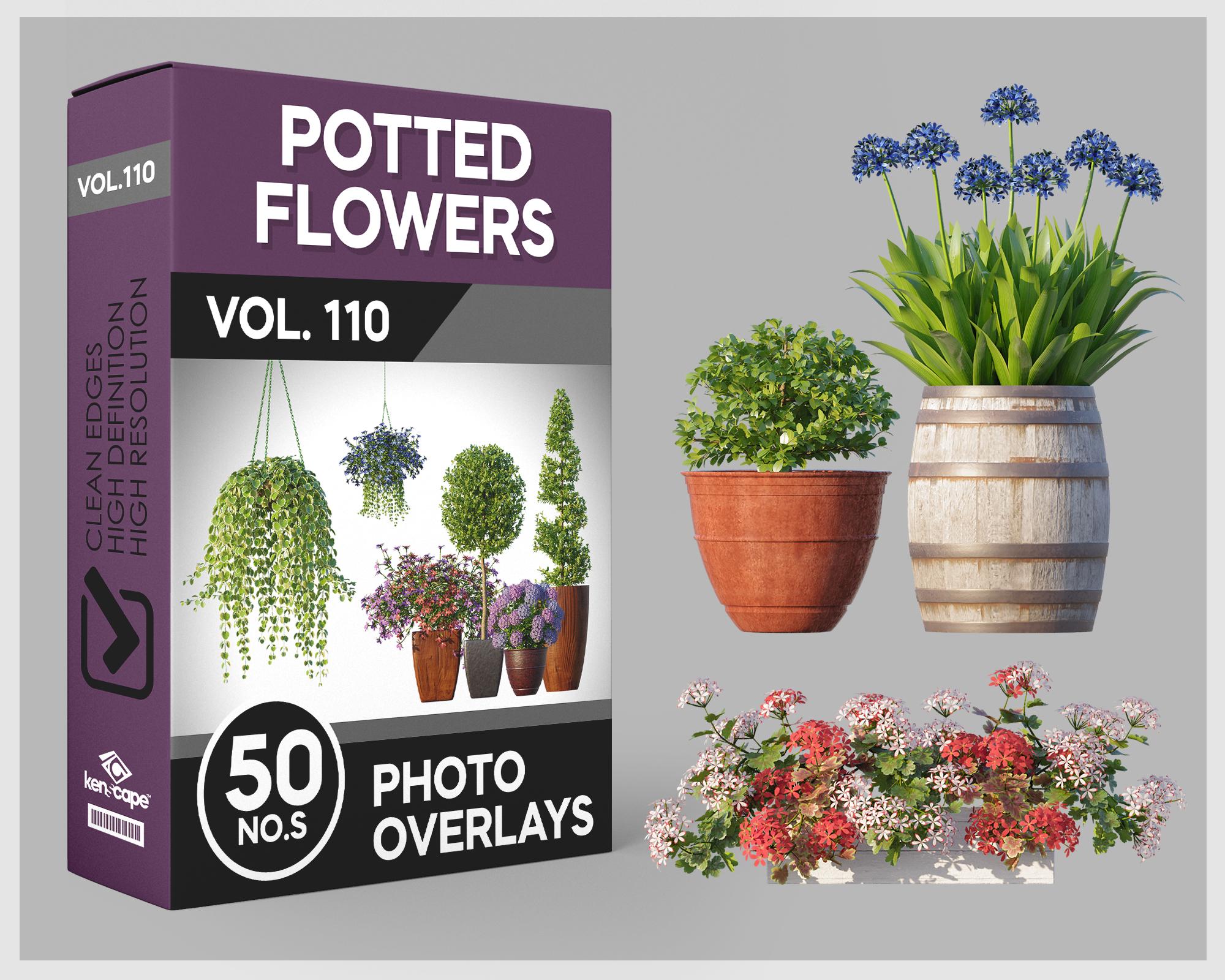 50 Potted Plants Photo Overlays for Photoshop, House Plants, Potted ...