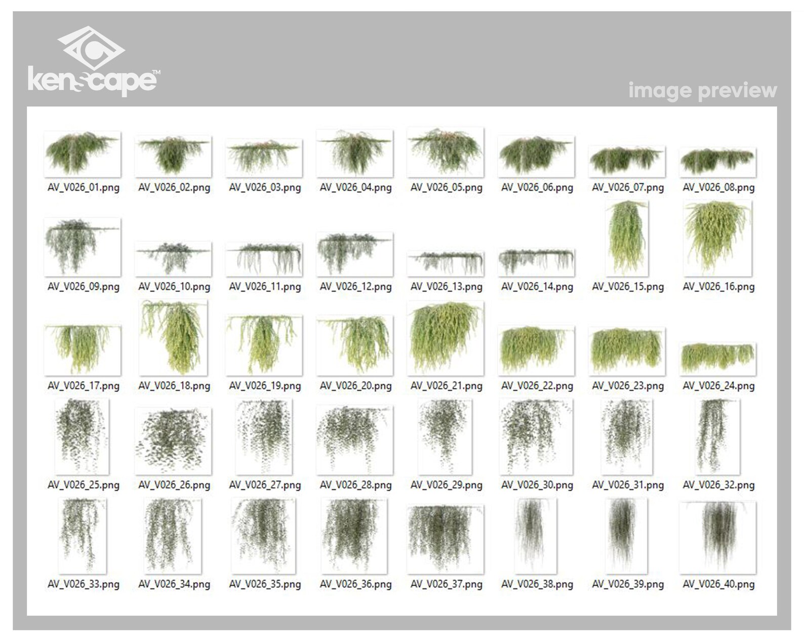 80 Vines & Creepers Photo Overlays for Photoshop, Vines, Ivy, Plants ...