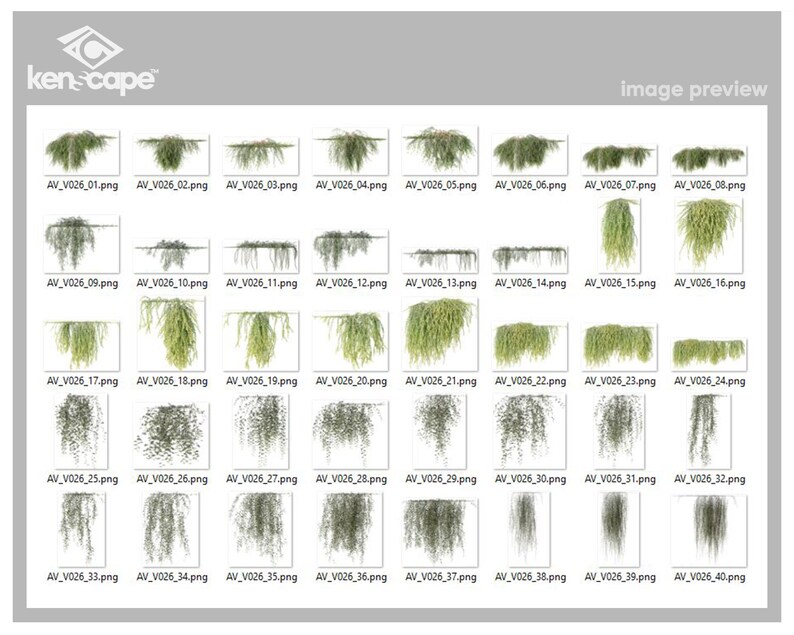 80 Vines & Creepers Photo Overlays for Photoshop, Vines, Ivy, Plants ...