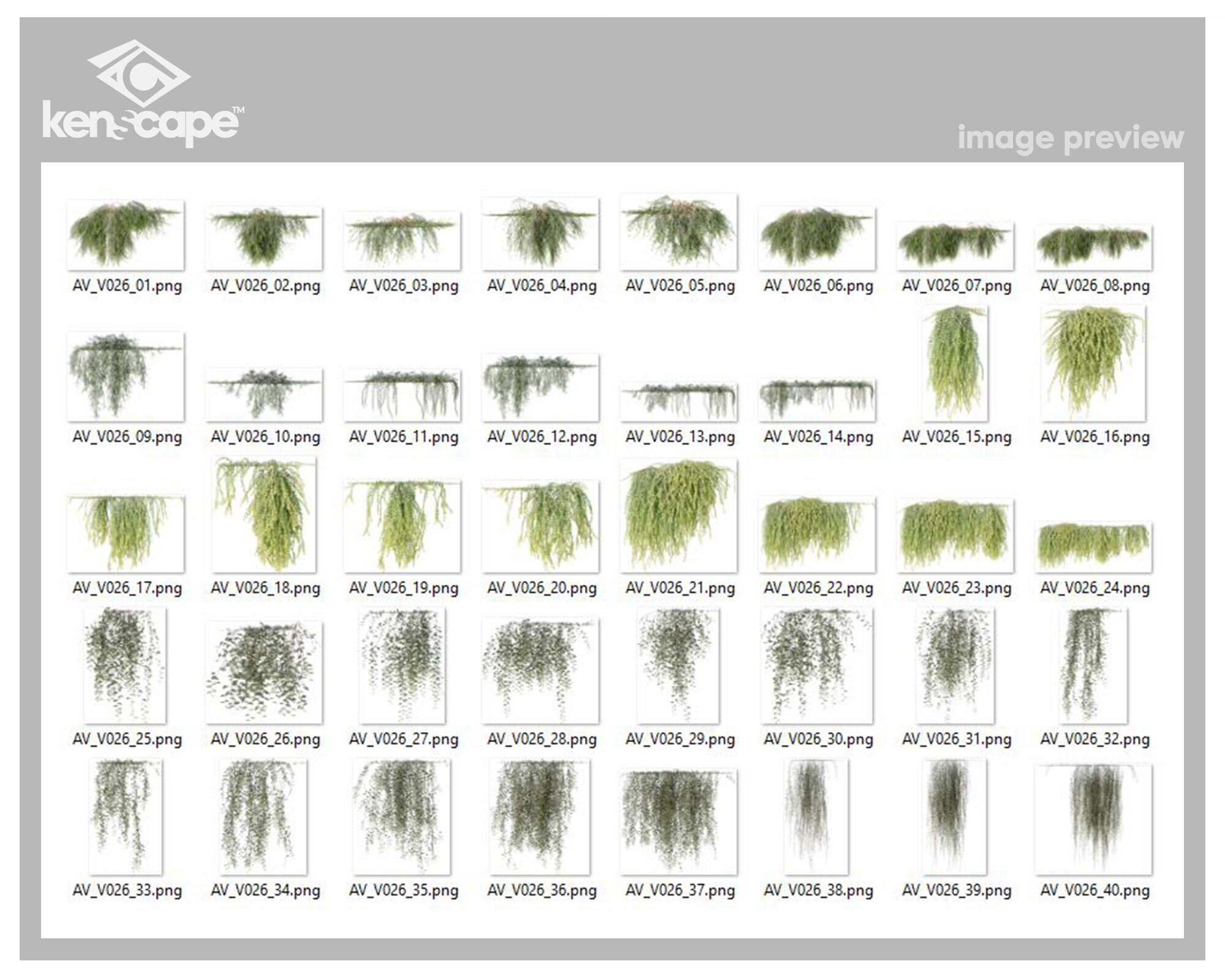 80 Vines & Creepers Photo Overlays for Photoshop, Vines, Ivy, Plants ...