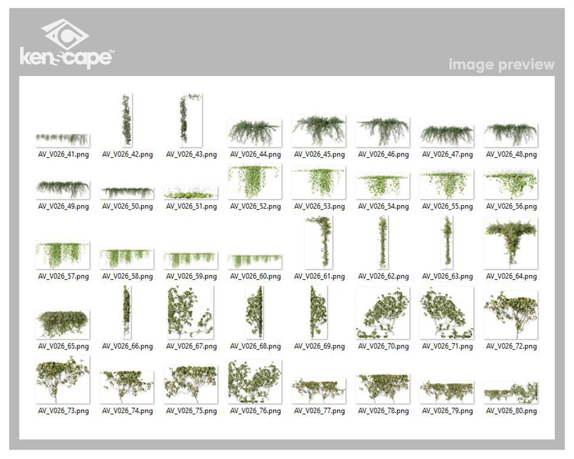 80 Vines & Creepers Photo Overlays for Photoshop, Vines, Ivy, Plants ...