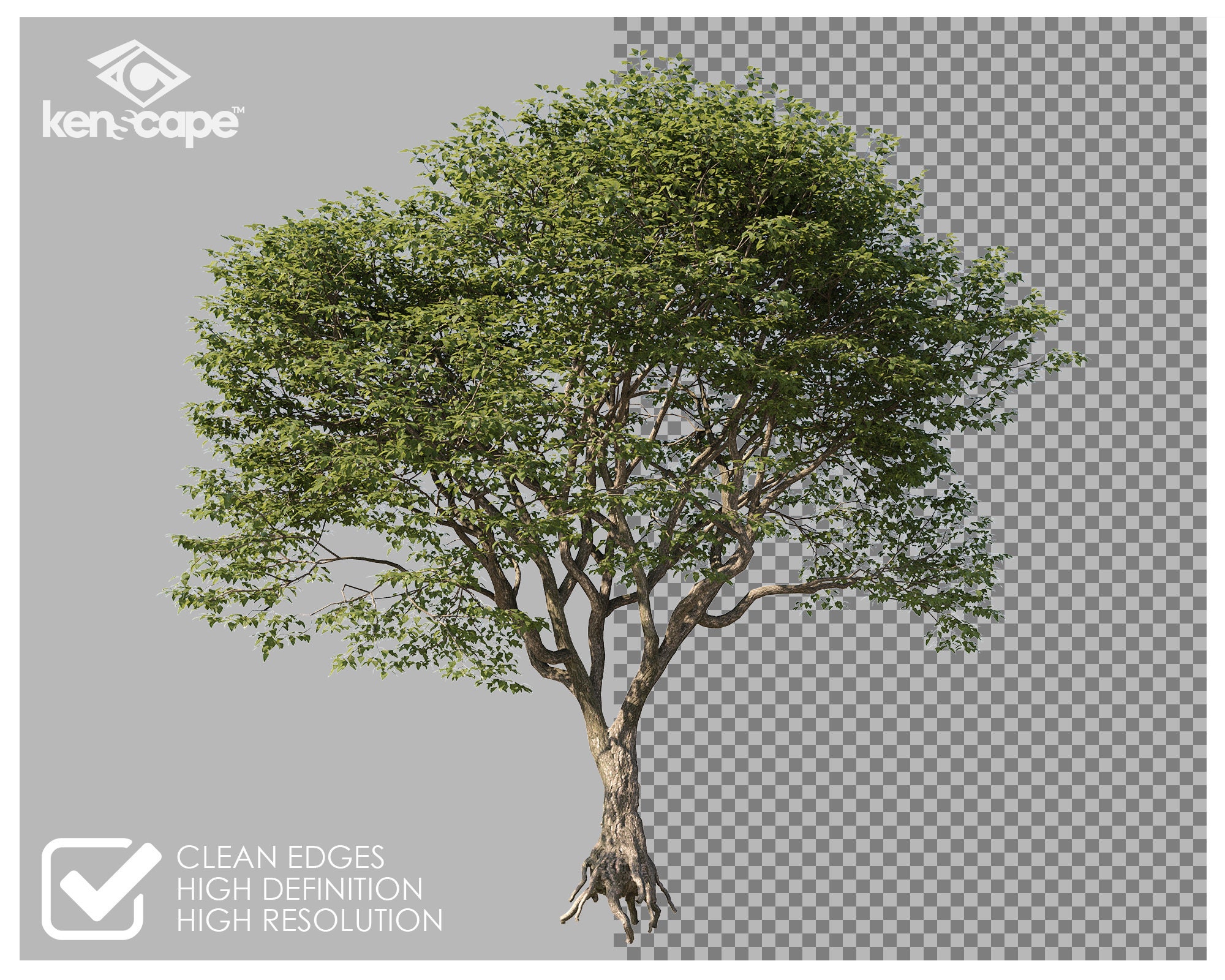 53 Trees Photo Overlays for Photoshop, Trees, Plants, Cutouts ...