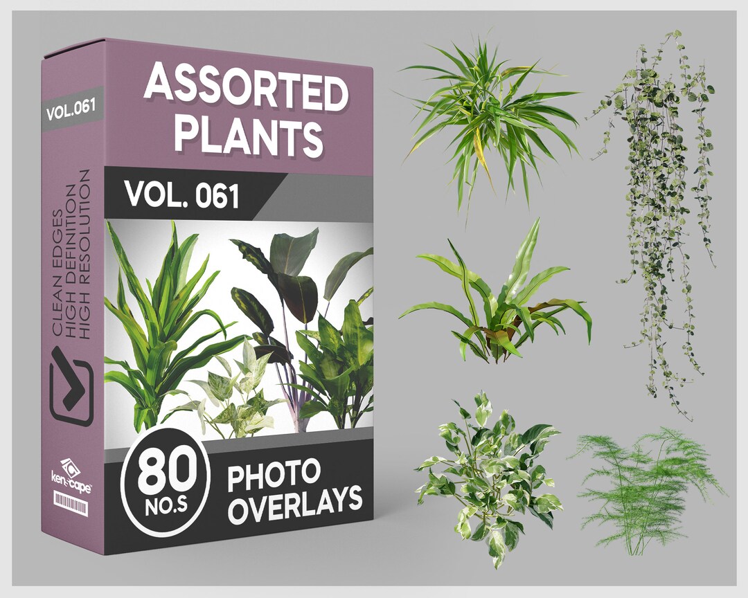 80 Assorted Plants Photo Overlays for Photoshop, Home Plants, Plants ...