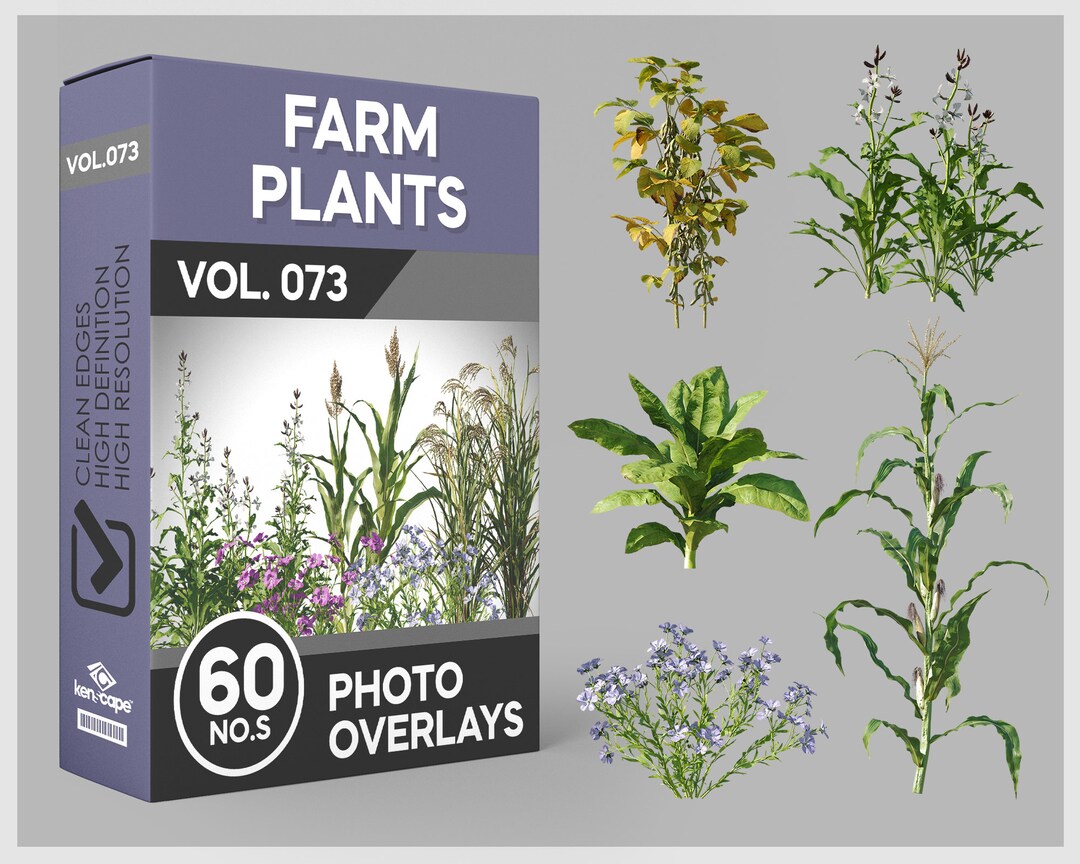 60 Farm Plants Photo Overlays for Photoshop, Vegetables, Plants, Food ...