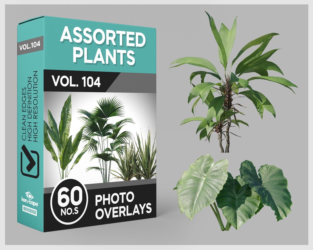 60 Assorted Plants Photo Overlays for Photoshop, Plants, Foliage Plants ...