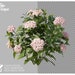 72 Assorted Flowers Photo Overlays for Photoshop, Flowers, Garden ...