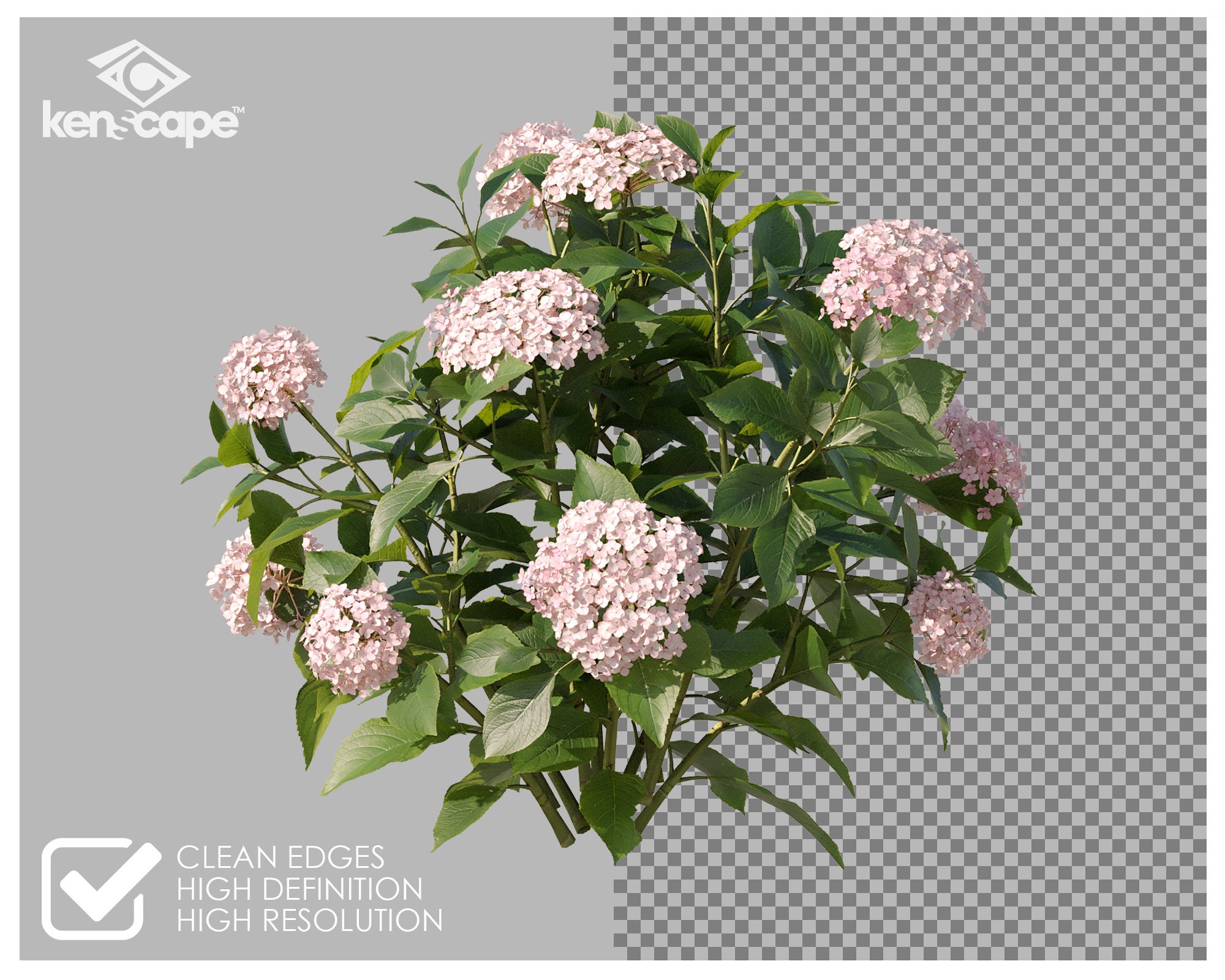 72 Assorted Flowers Photo Overlays for Photoshop, Flowers, Garden ...