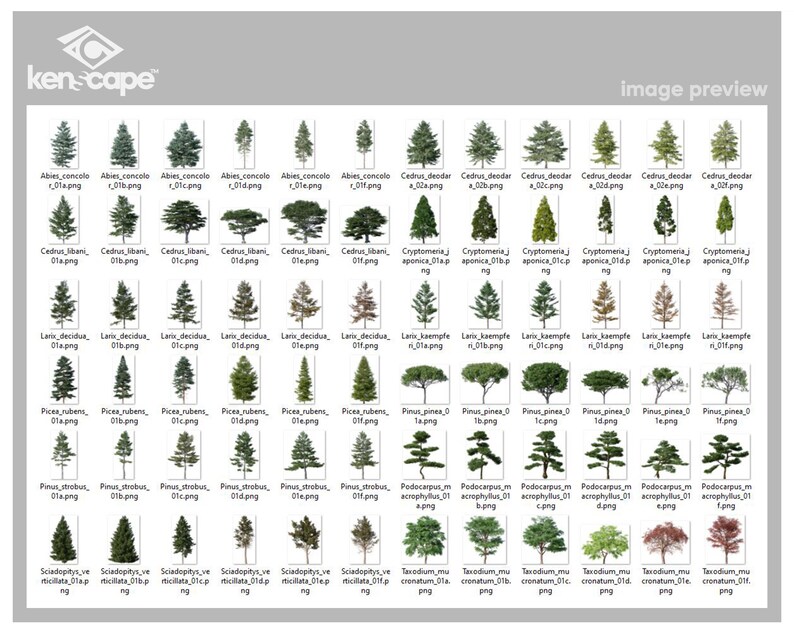 72 Coniferous Trees Photo Overlays for Photoshop, Trees, Plants ...