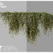 80 Vines & Creepers Photo Overlays for Photoshop, Vines, Ivy, Plants ...