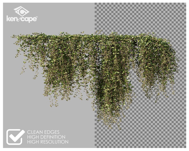 80 Vines & Creepers Photo Overlays for Photoshop, Vines, Ivy, Plants ...