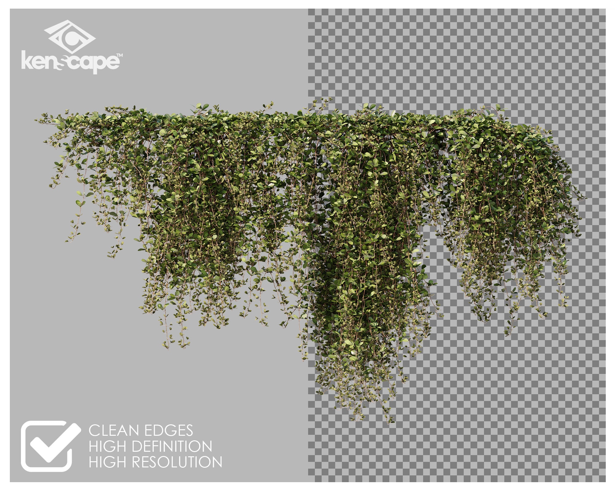 80 Vines & Creepers Photo Overlays for Photoshop, Vines, Ivy, Plants ...