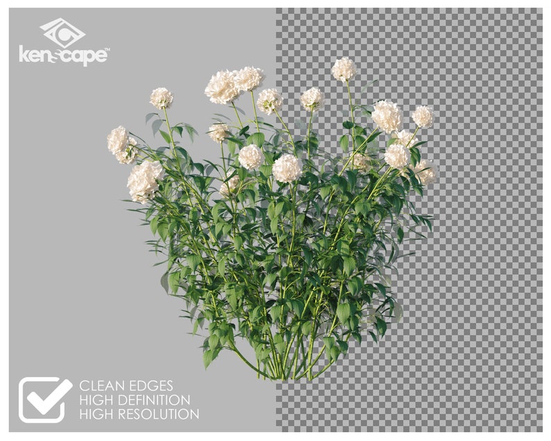 60 Assorted Flowers Photo Overlays for Photoshop, Flowers, Garden ...