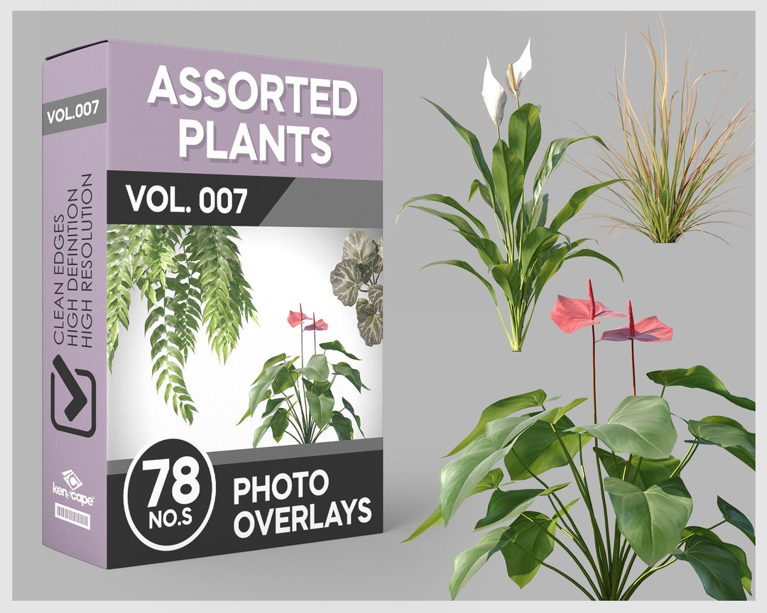 78 Assorted Plants Photo Overlays for Photoshop, Home Plants, Plants ...
