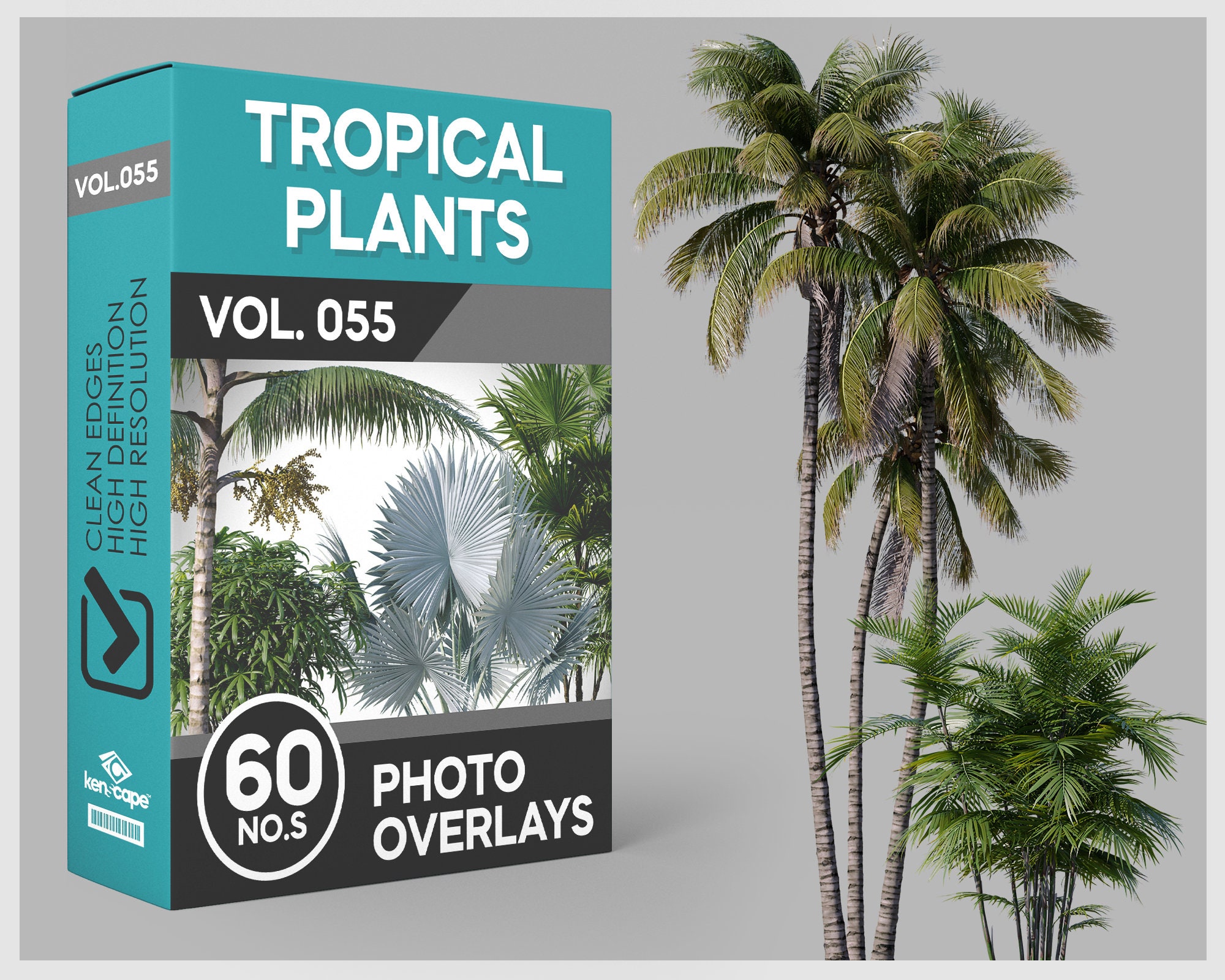 60 Tropical Plants Photo Overlays for Photoshop, Trees, Tropical Plants ...