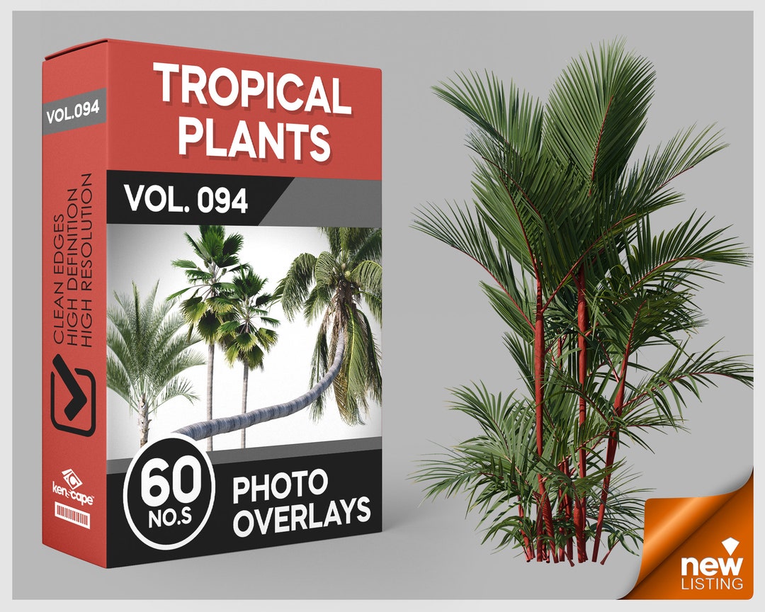 60 Tropical Plants Photo Overlays for Photoshop, Exotic Foliage, Jungle ...