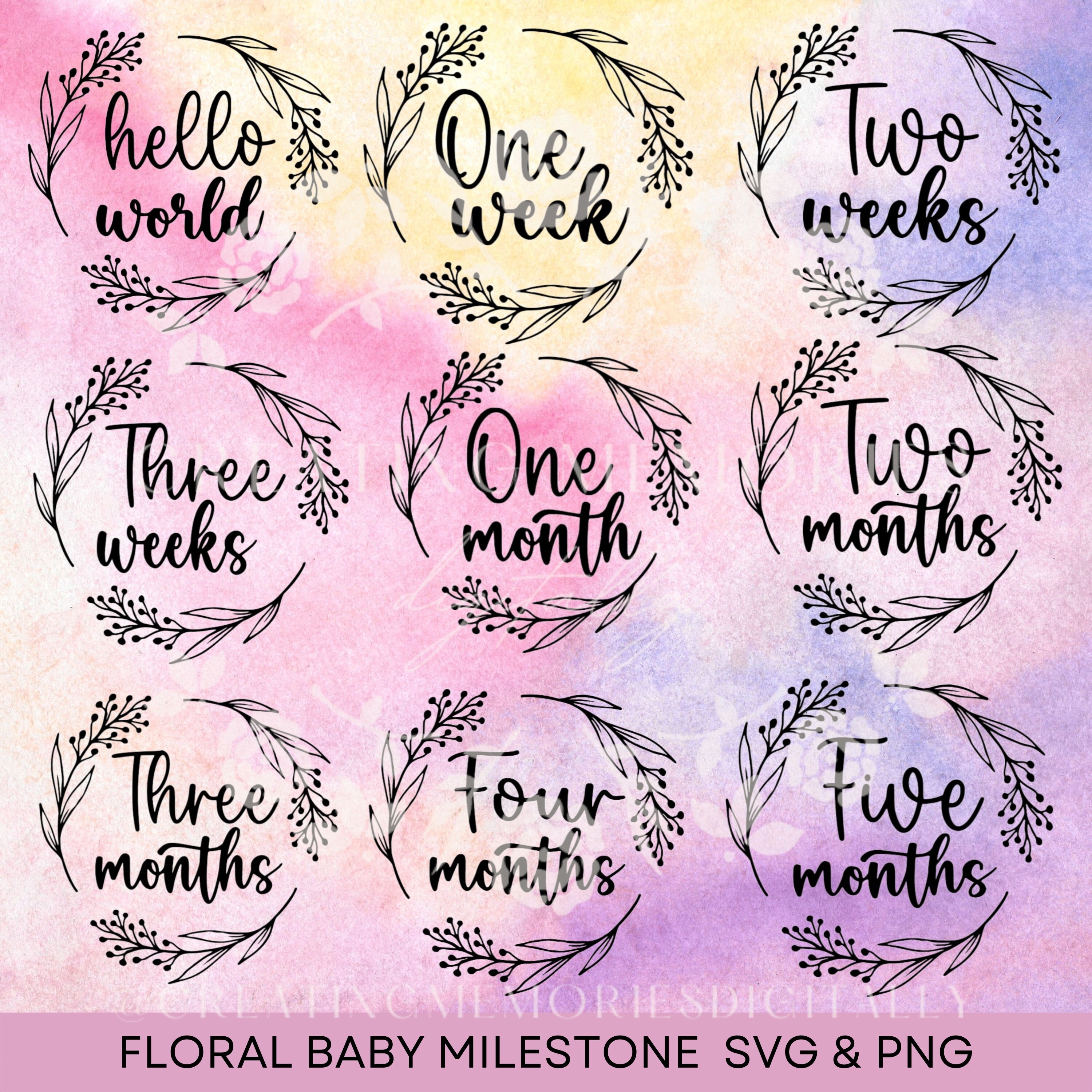Flower Baby Rounds Svg, Baby Milestone Rounds SVG, Baby Rounds SVG PNG ...