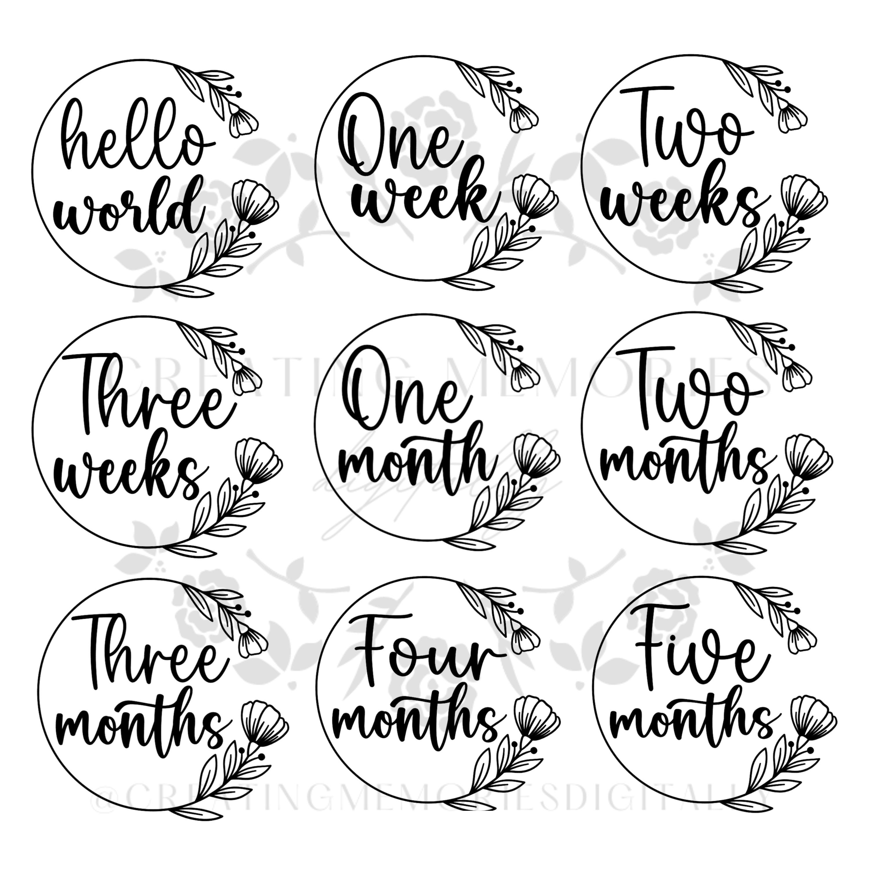 Floral Baby Rounds Svg, Baby Milestone Rounds SVG, Baby Rounds SVG PNG ...