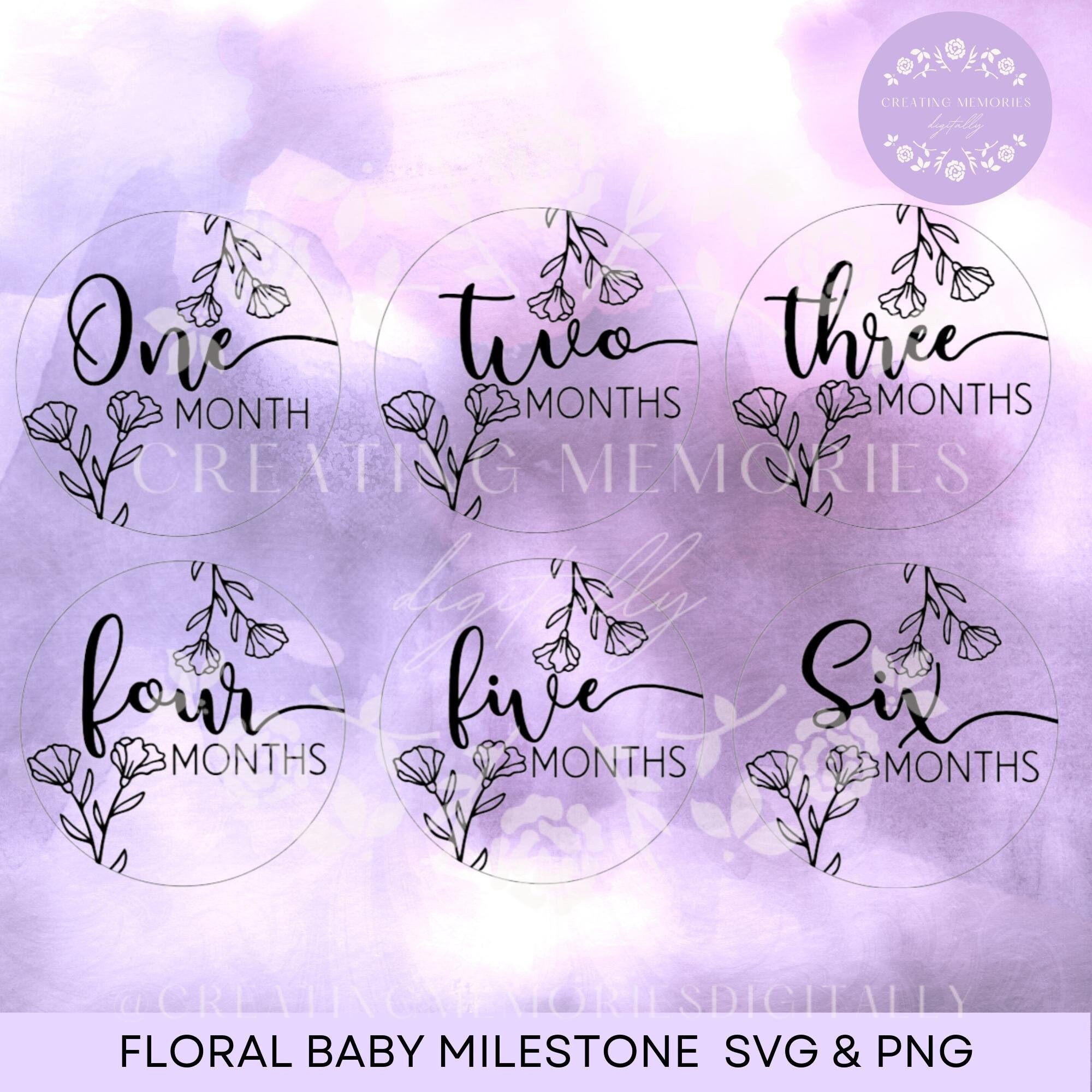 Beautiful Floral Baby Rounds Svg, Baby Milestone Rounds SVG, Baby ...