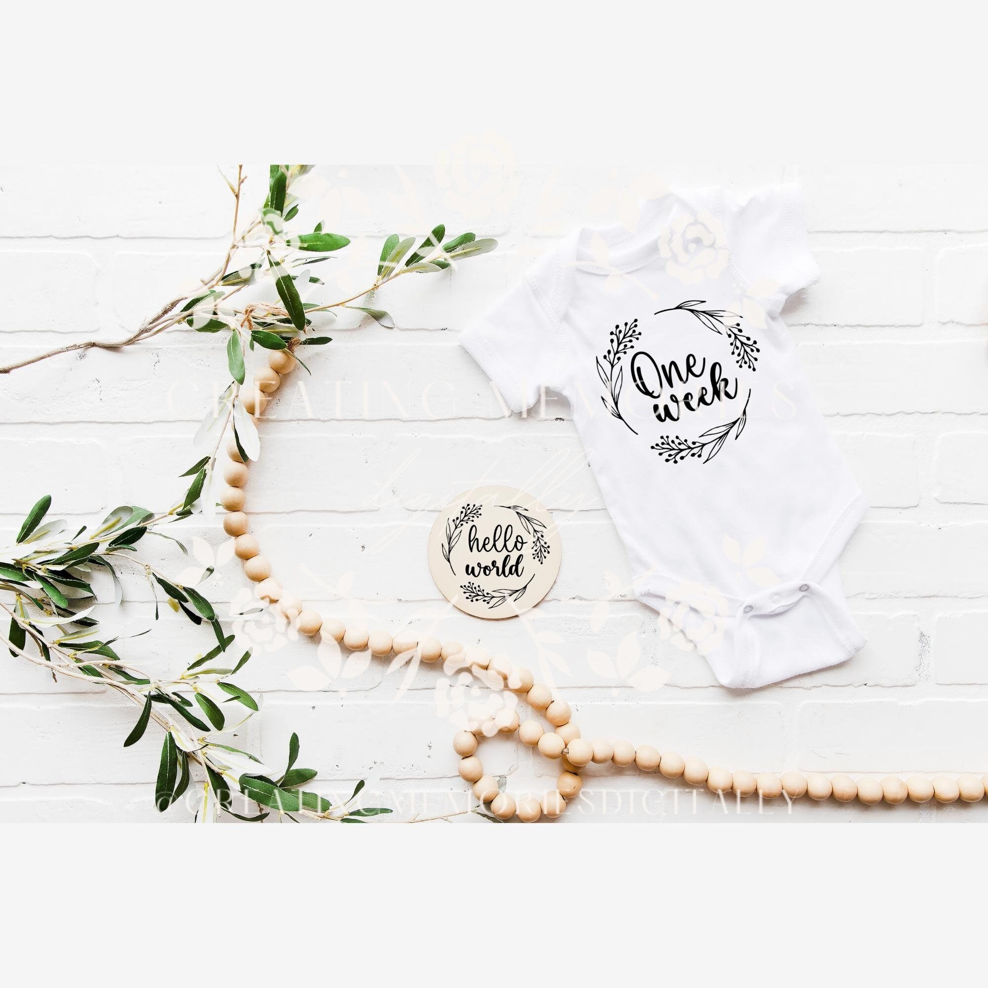 Flower Baby Rounds Svg, Baby Milestone Rounds SVG, Baby Rounds SVG PNG ...