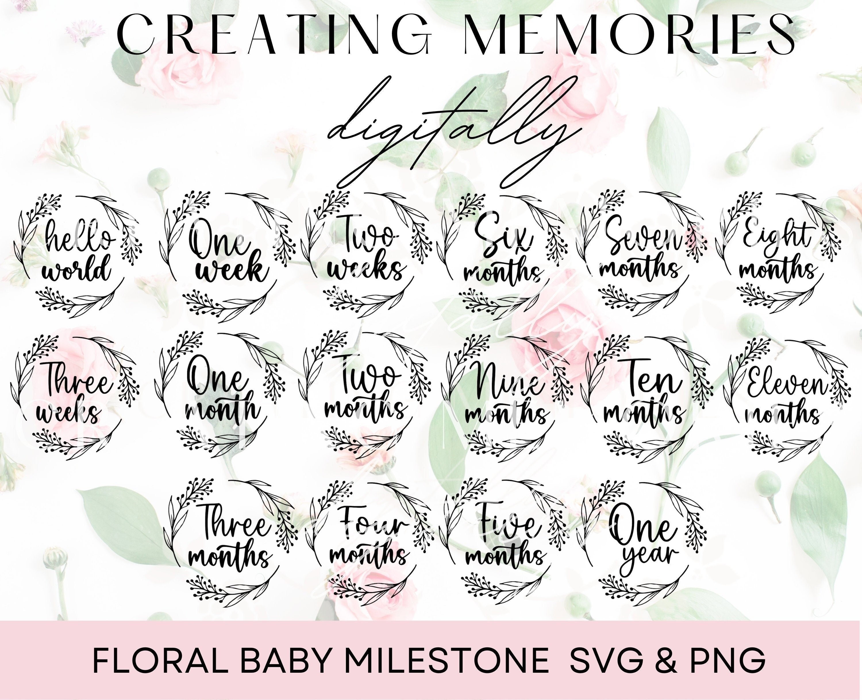 Flower Baby Rounds Svg, Baby Milestone Rounds SVG, Baby Rounds SVG PNG ...