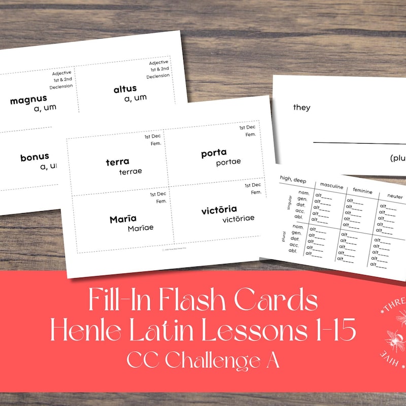 Fill in Flashcards - Etsy