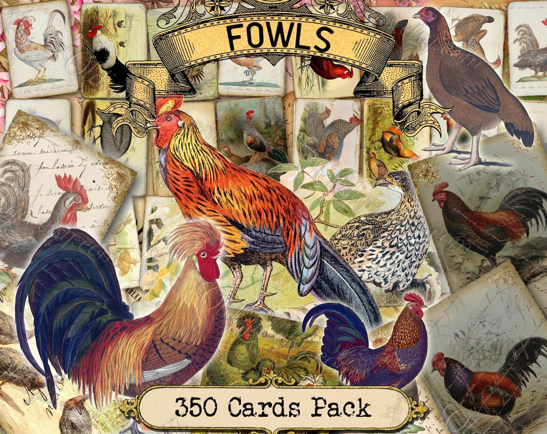Fowls Birds Junk Journal Cards, Roosters, Guinea Fowl, Pheasant ...
