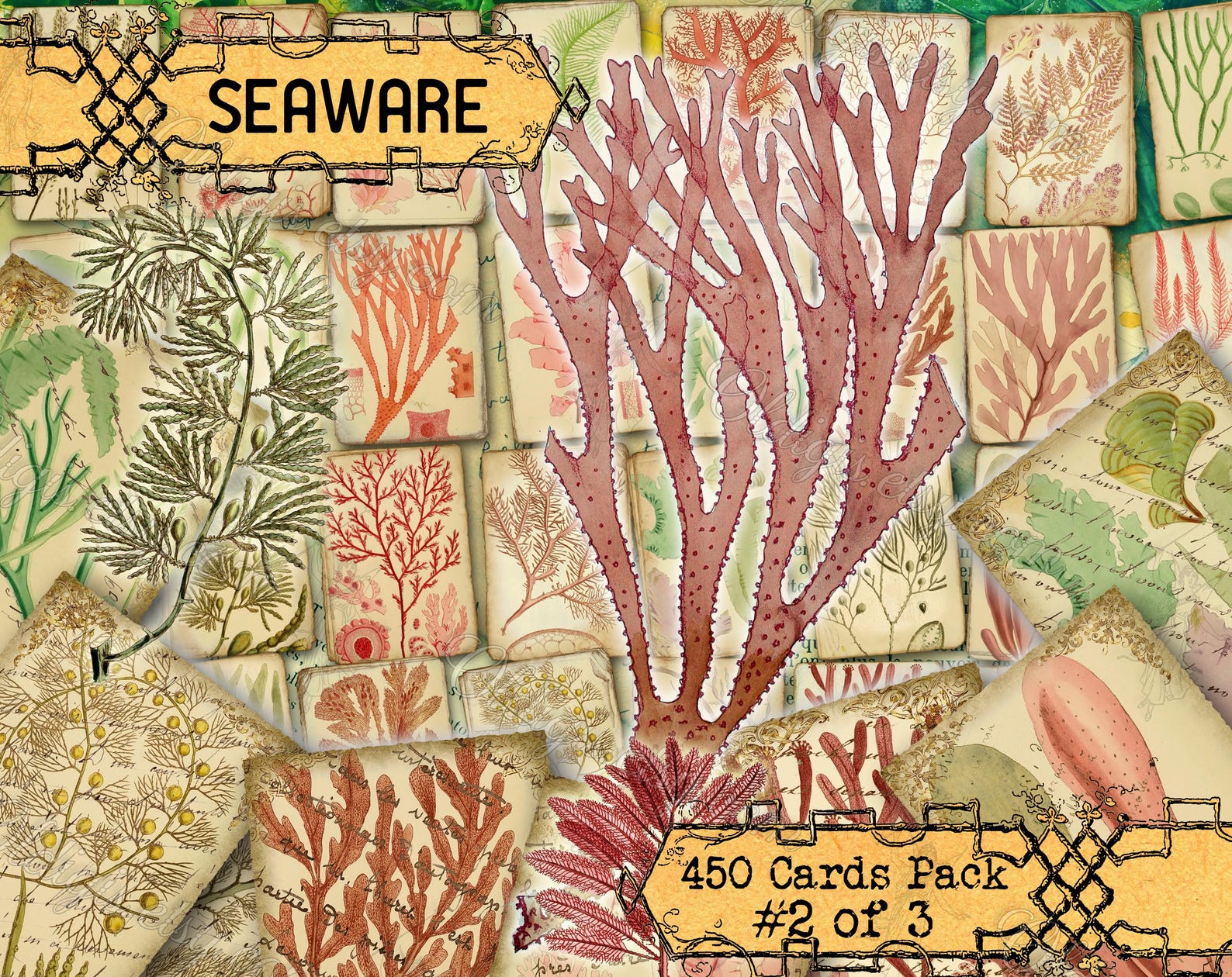 Seaware #2 - Set of 40 Pictures on 450 Cards JPG With Antique ...
