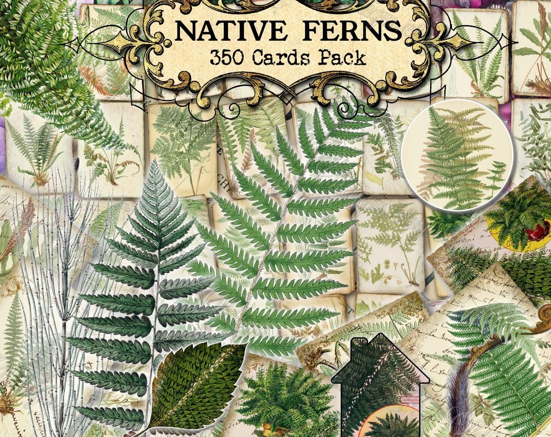 Native Ferns Botanical Junk Journal, Shabby Garden, Forest Flora ...