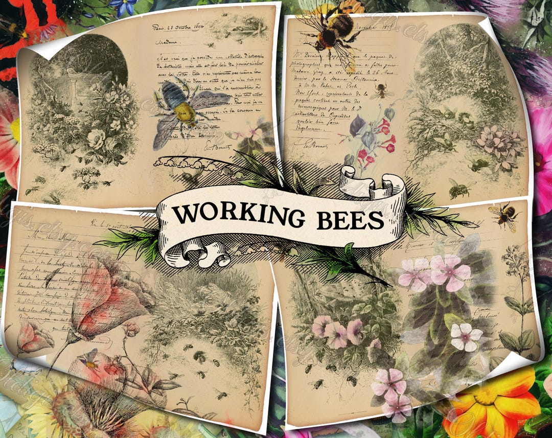 Working Bees - Set of 24 Junk Journal Sheets With Digital Collages of ...