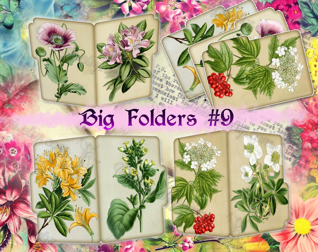 Big Folders #9 Vintage Botanical Garden Ephemera, Antique Flower ...