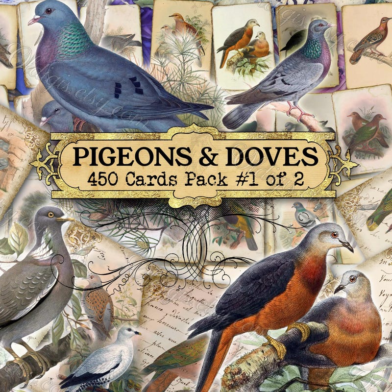 Pigeon Page - Etsy