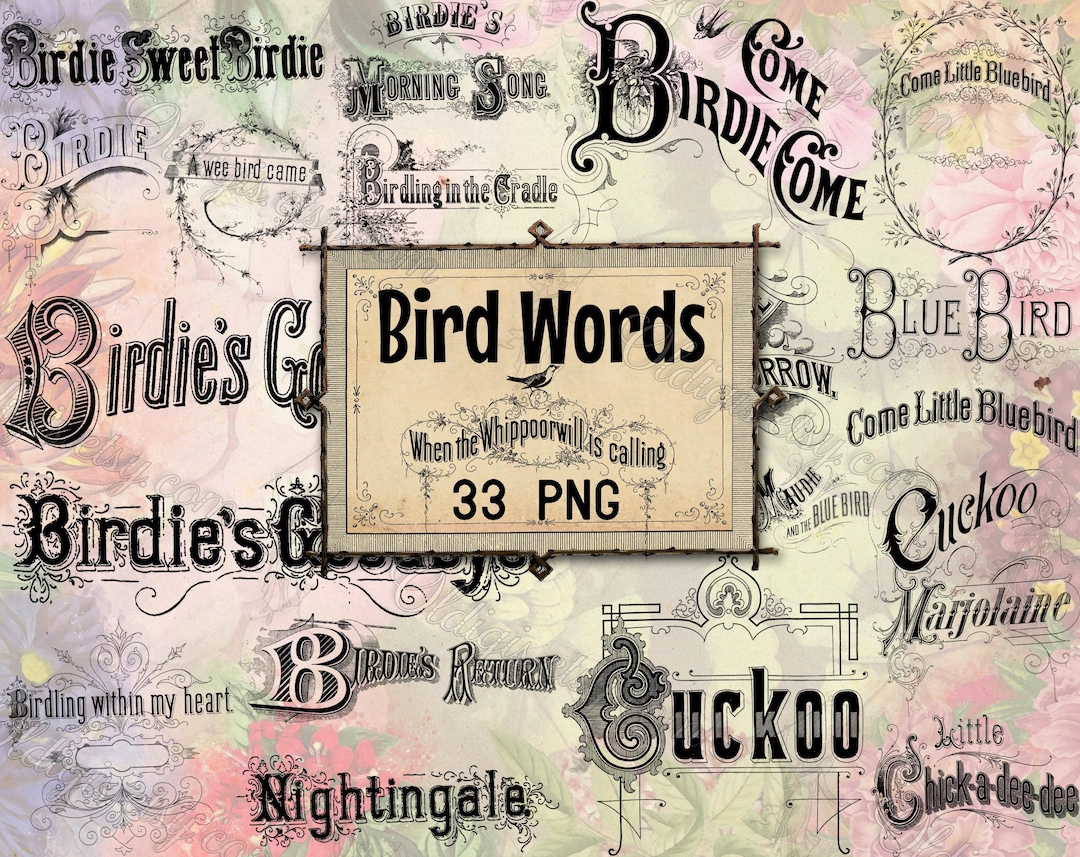 PNG BIRD WORDS - Set of 33 Files in Png Format With Transparent ...