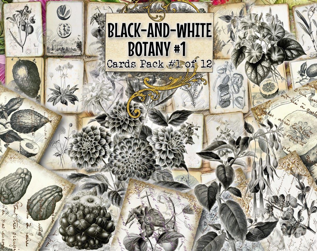 Black-and-white Botany #1 Junk Journal Cards, Victorian Herbarium ...