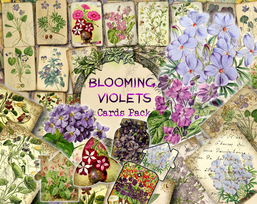 Blooming Violets - Set of 40 Pictures on 500 Cards Vintage Design Old ...