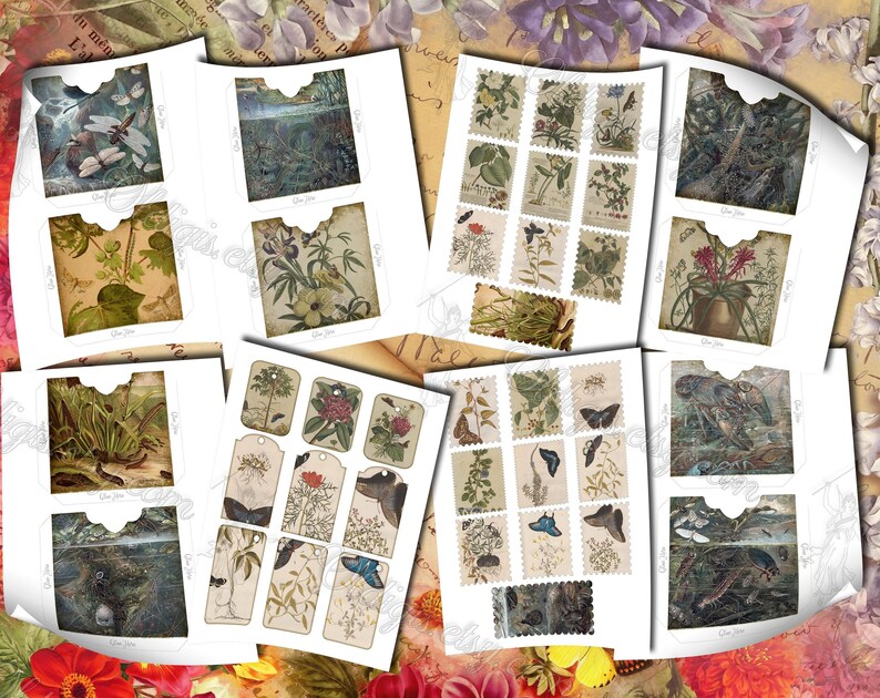 Fauna and Flora - Set of 40 Pictures on 500 Cards in JPG With Antique ...