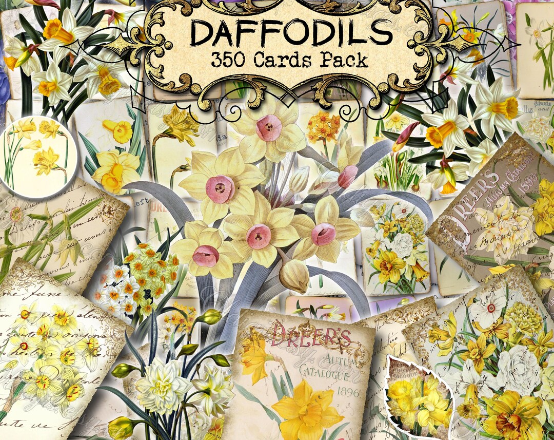 Vintage Daffodil Botanical Junk Journal, Narcissus Jonquil, Spring ...