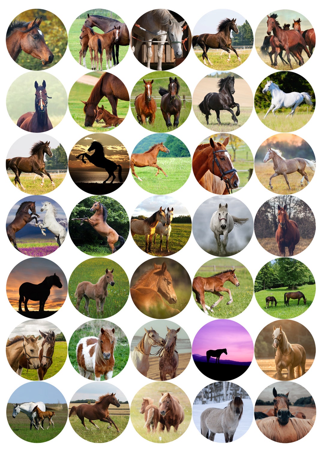 Sticker Sheet Majestic Horses. Kids Stickers. Sticker Sheet. Stickers ...