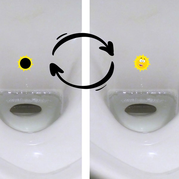 Toilet Sticker - Etsy