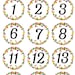 Confetti Numbers Stickers – Colorful Number Sticker Sheet & Party ...