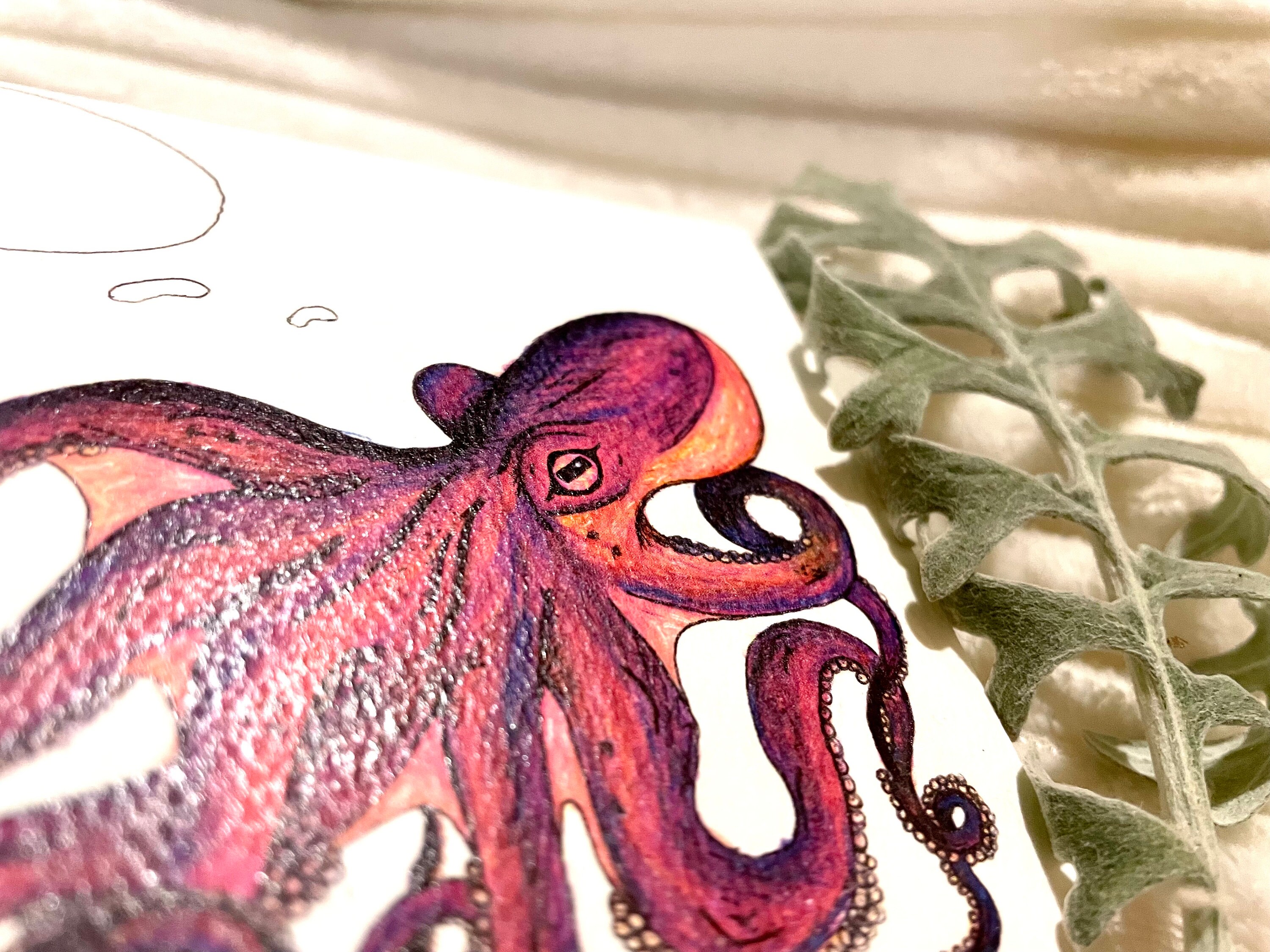 Octopus Greeting Card (blank) - Etsy