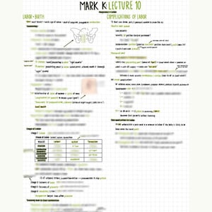Mark K Lecture Notes (1-12) - Etsy
