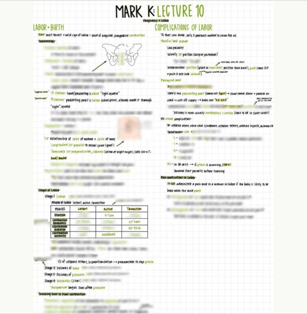 Mark K Lecture Notes (1-12) - Etsy