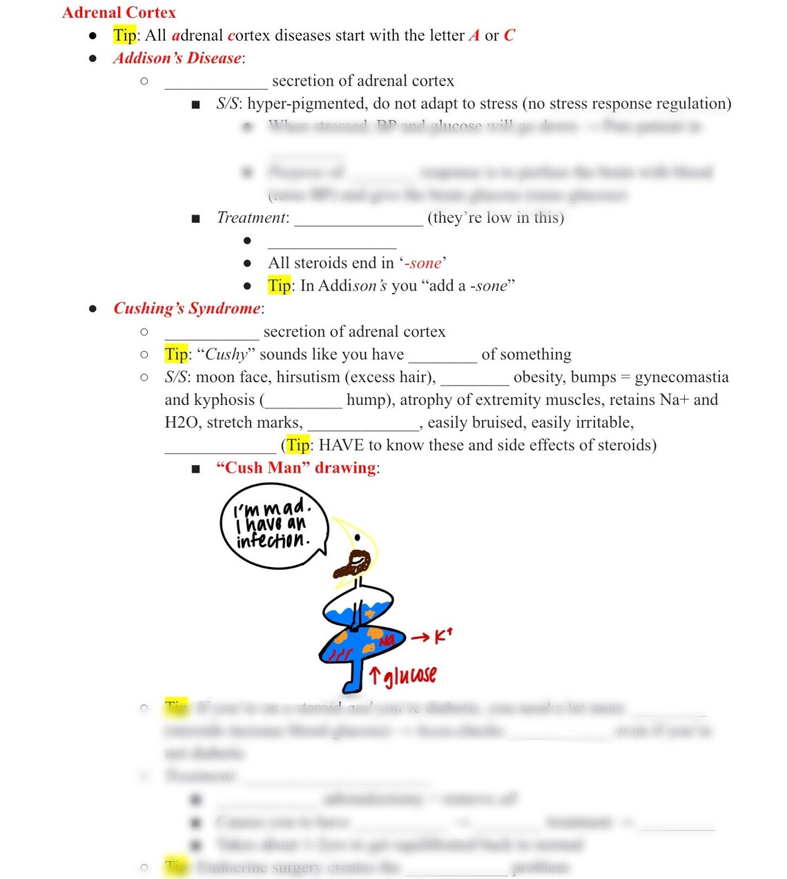 Fill in the Blank/follow Along Mark K Lecture Notes | Nursing/nclex - Etsy